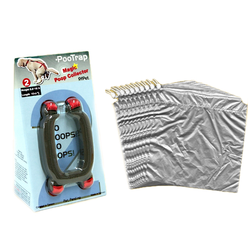 How Often Do Puppies Poop? Things You Need To Know