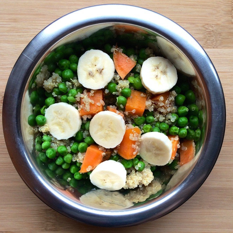 #4 - Home Cooked Dog Food