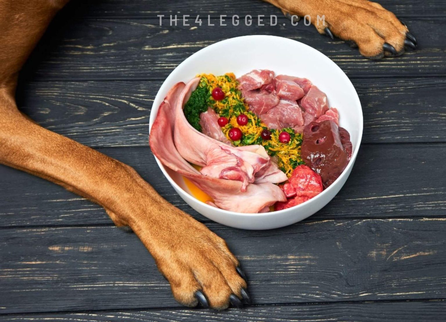 How Much Should I Feed My Pitbull? Feed Your Pit Like A Pro!