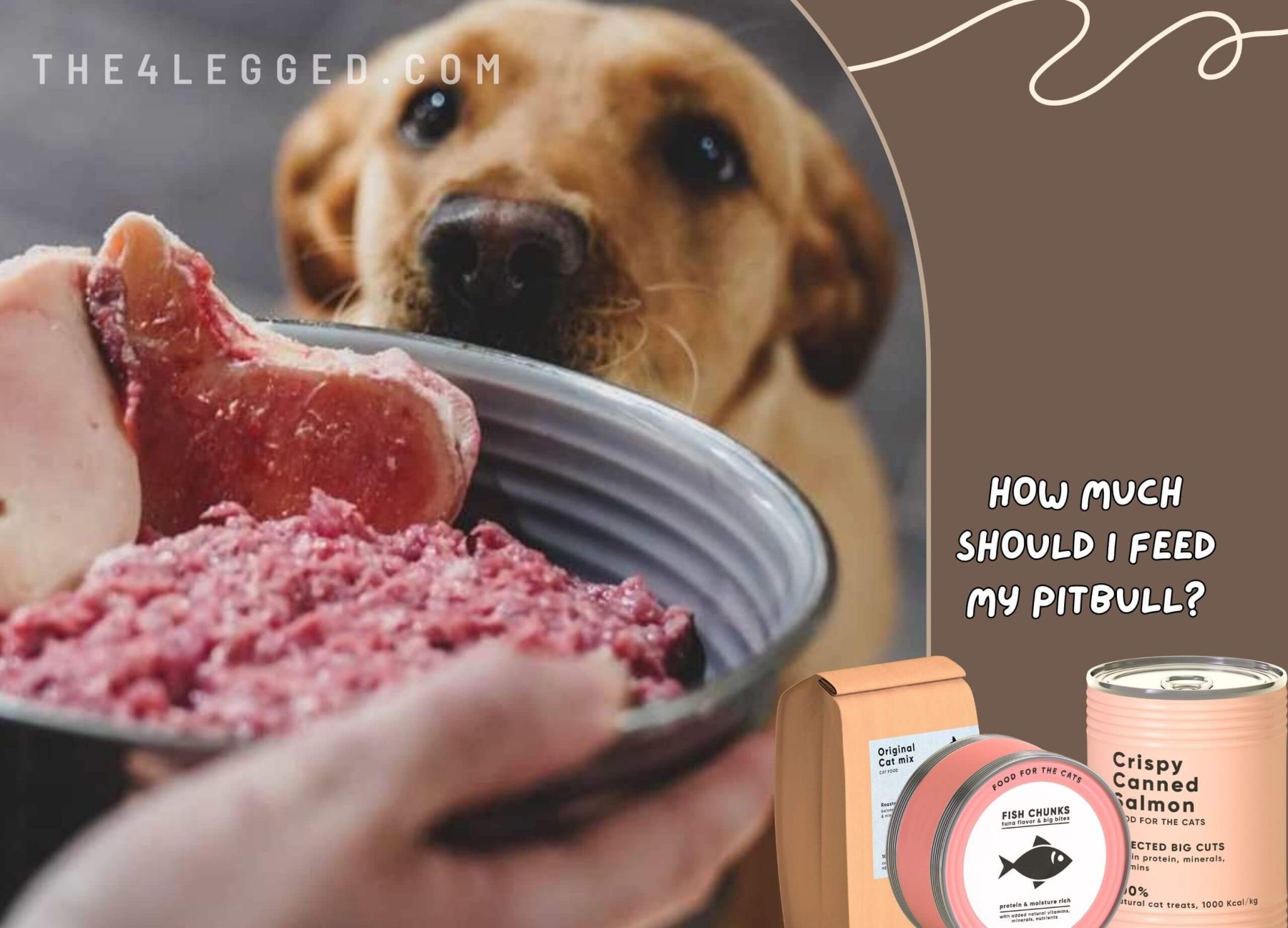 How Much Should I Feed My Pitbull? Feed Your Pit Like A Pro!