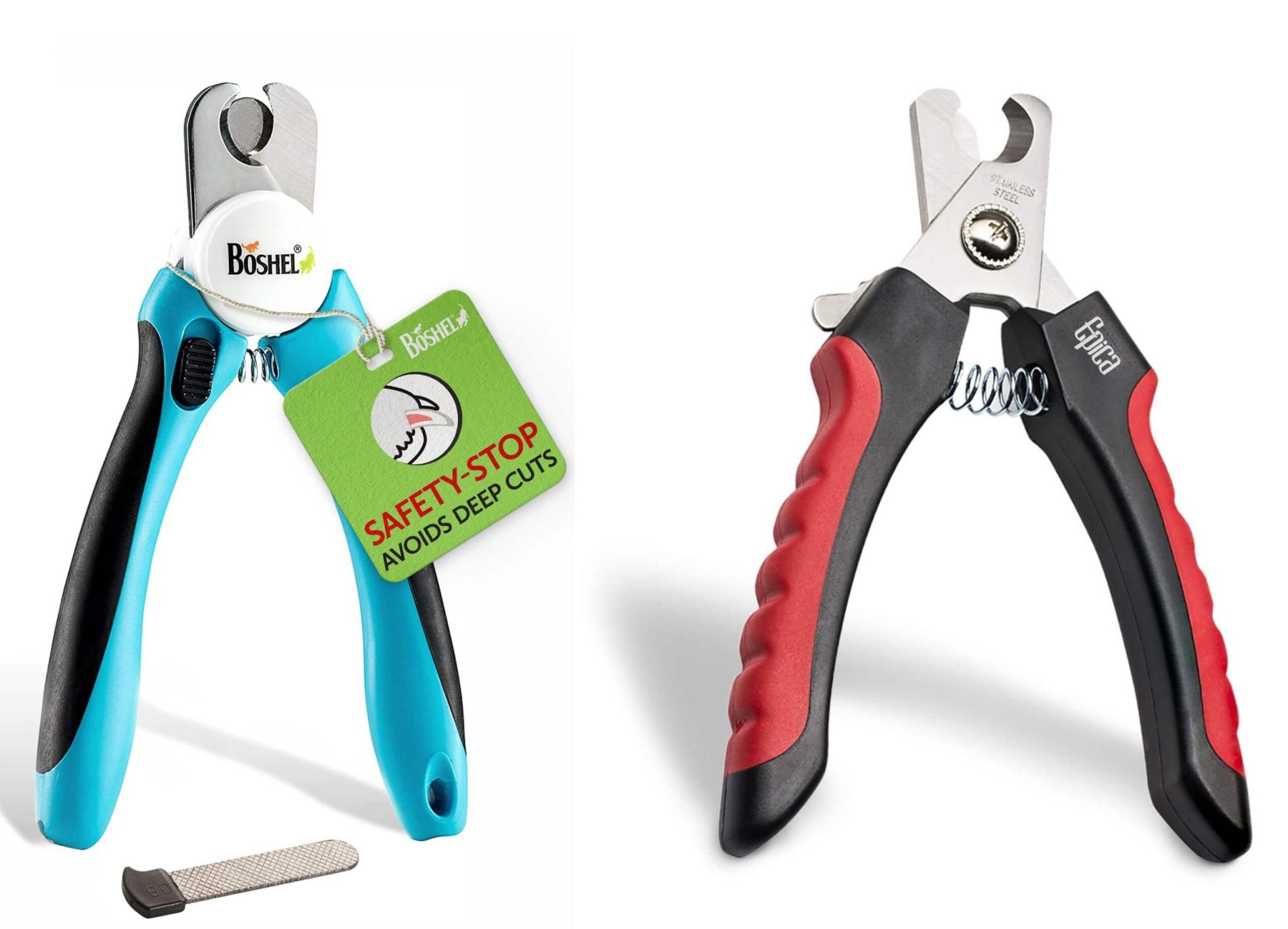 How To Cut Pitbull Nails: Best Tips From A Professional Groomer