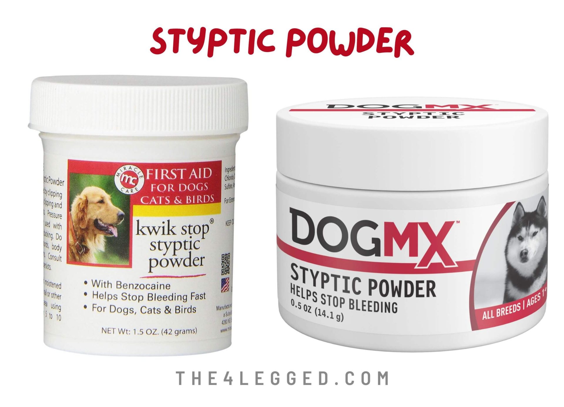 How To Cut Pitbull Nails: Best Tips From A Professional Groomer