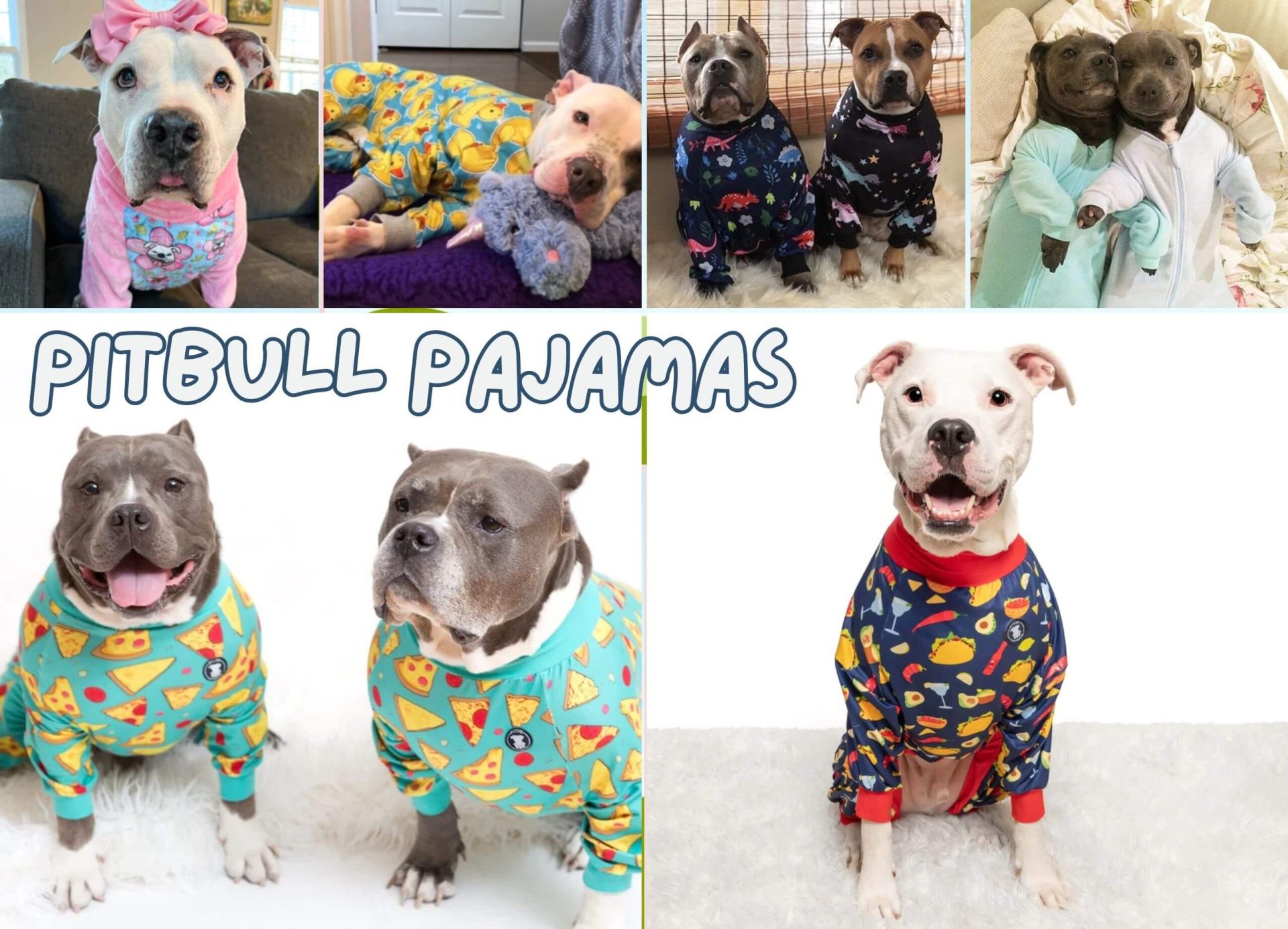 How Cold Is Too Cold For Pitbulls? Find Out to Keep Your Pitbull Safe