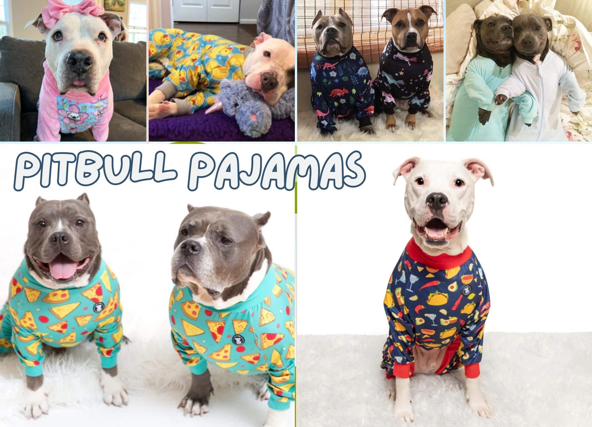 How Cold Is Too Cold For Pitbulls? Find Out to Keep Your Pitbull Safe